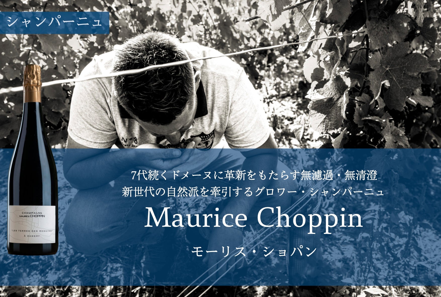 モーリス・ショパン / Maurice Choppin | Wine Library
